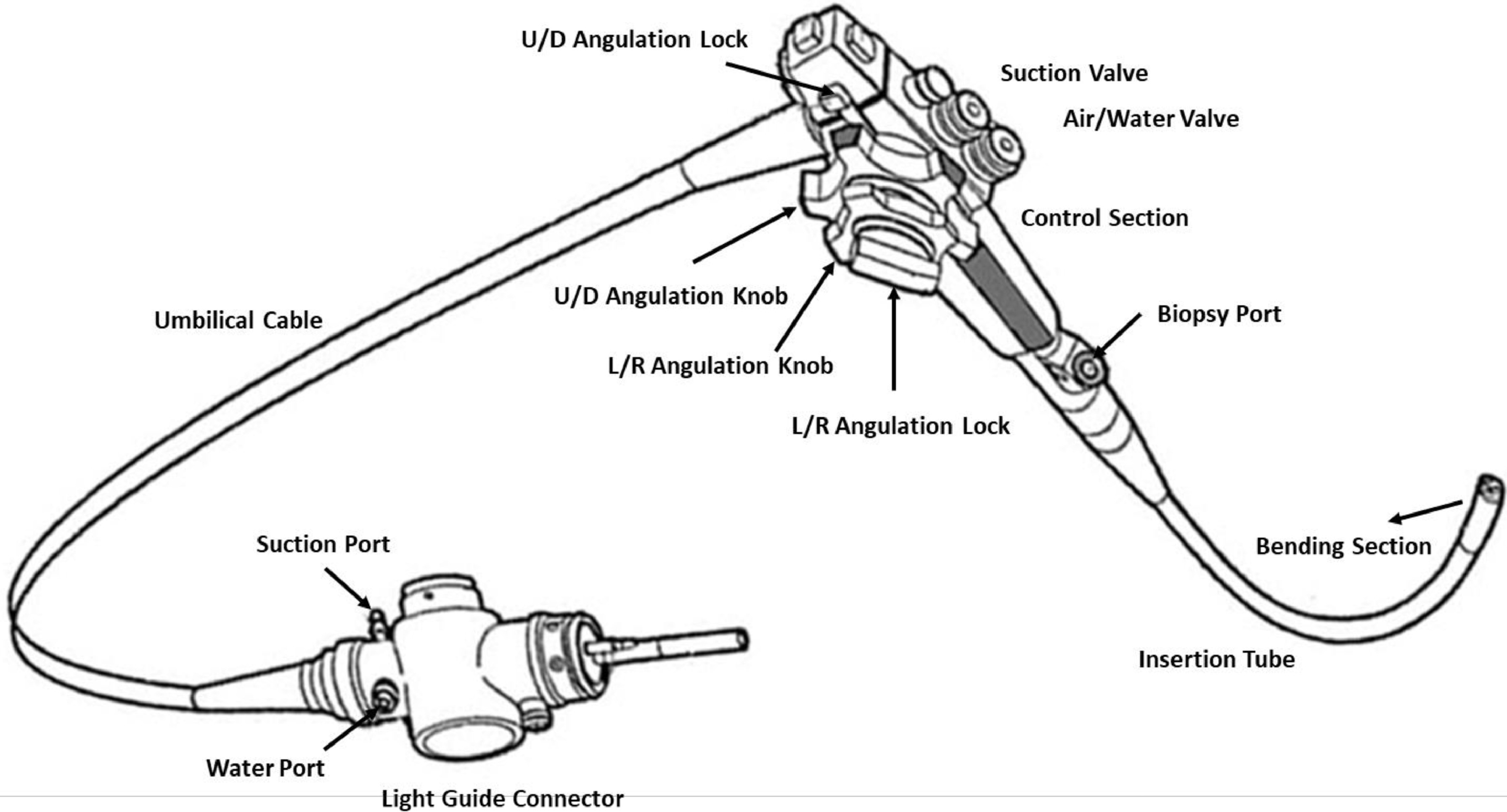 What is an Endoscope?